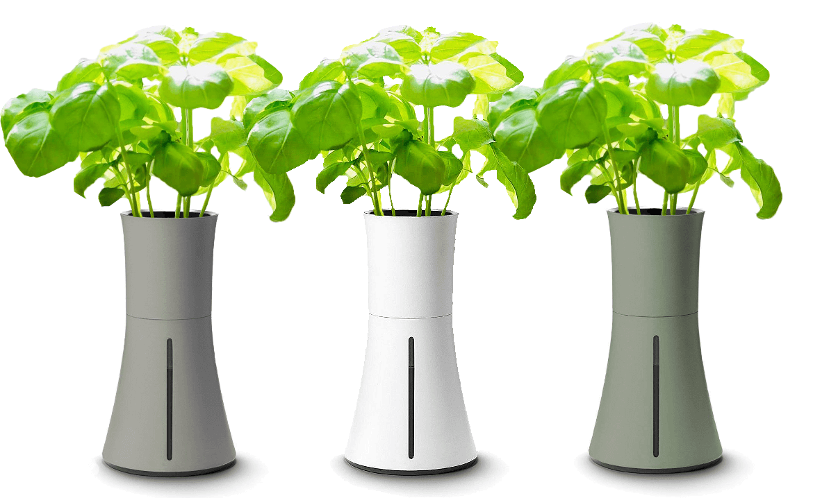 【公式】水耕栽培キット・家庭菜園プランターのボタニアムジャパン（Botanium Japan） | 水耕栽培キットをお探しなら